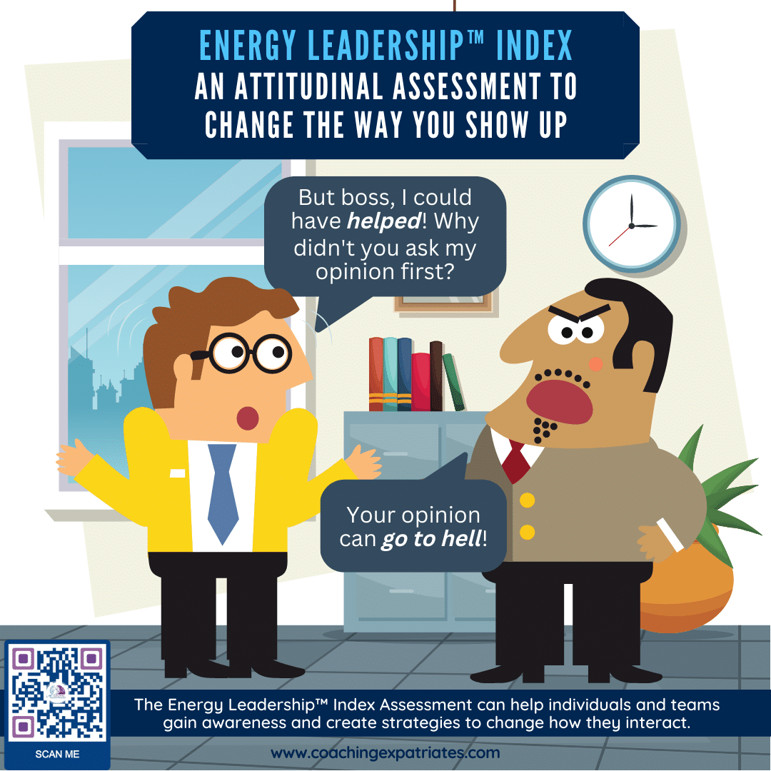 The Energy Leadership™ Index Assessment: All You Need To Know ...